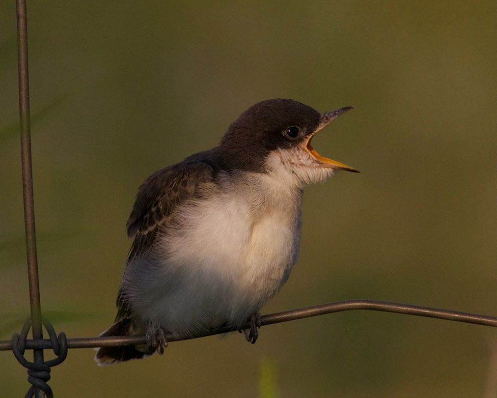 Your pictures on the theme of 'new beginnings' - BBC News