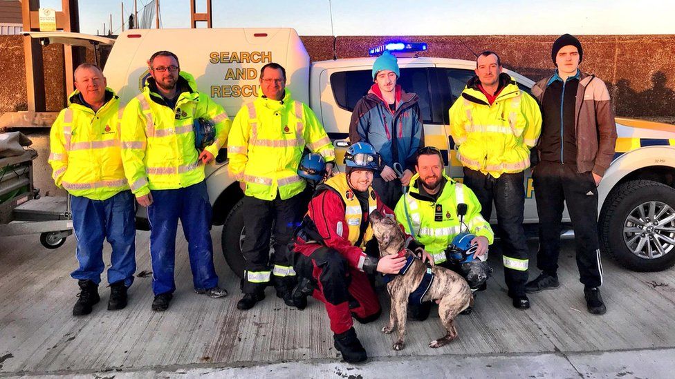 Coastguard team rescues dog from rocks - BBC News