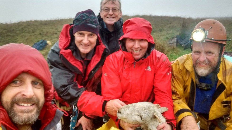 Pembrokeshire sheep cliff rescue 'will take days' - BBC News