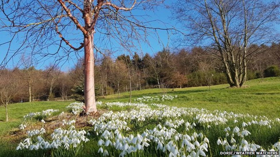 On the road to spring? - BBC Weather