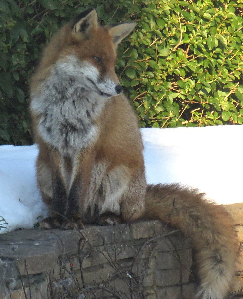 Your pictures of Scotland 12 - 19 February - BBC News