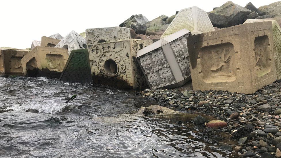 Students creating living sea walls with 3D printer - BBC News