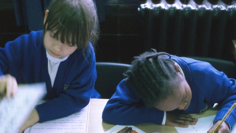 English not first language for more than a quarter at 21 NI primary ...