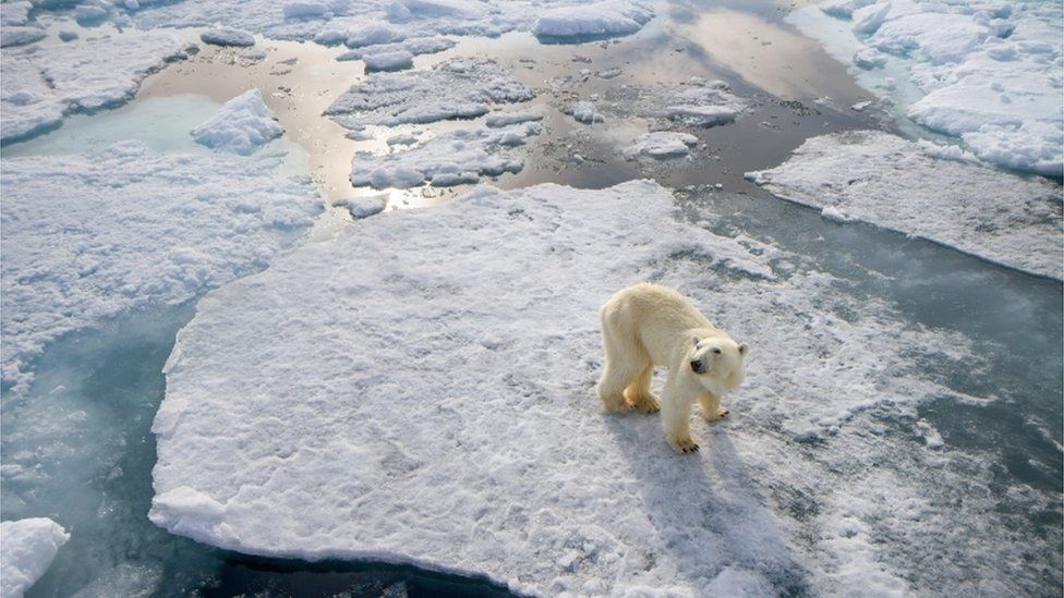 What's behind the UK's freezing weather? - BBC News