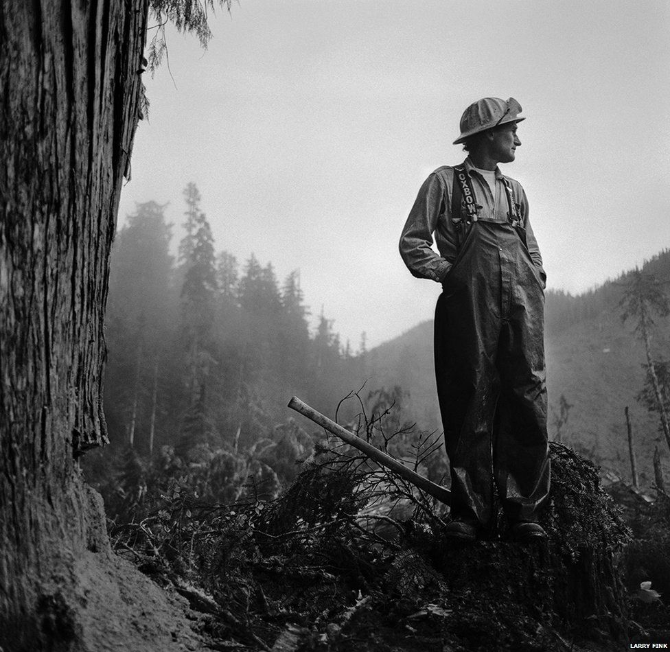 Loggers captured at work in Larry Fink's Opening the Sky - BBC News