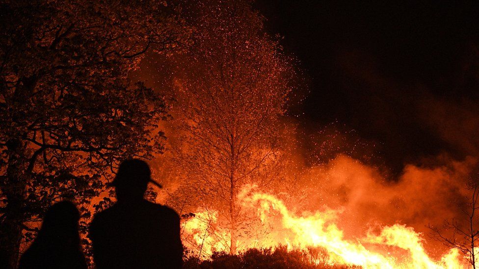 UK moor fires: How do moor fires start? - BBC Newsround