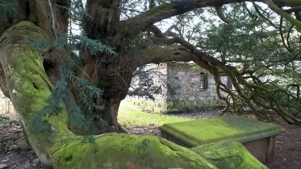 Lake District sketchbook took modern-day monk five years - BBC News