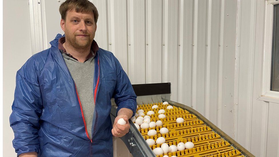 Galw am frechlyn ffliw adar wrth i fesurau ddod i ben - BBC Cymru Fyw