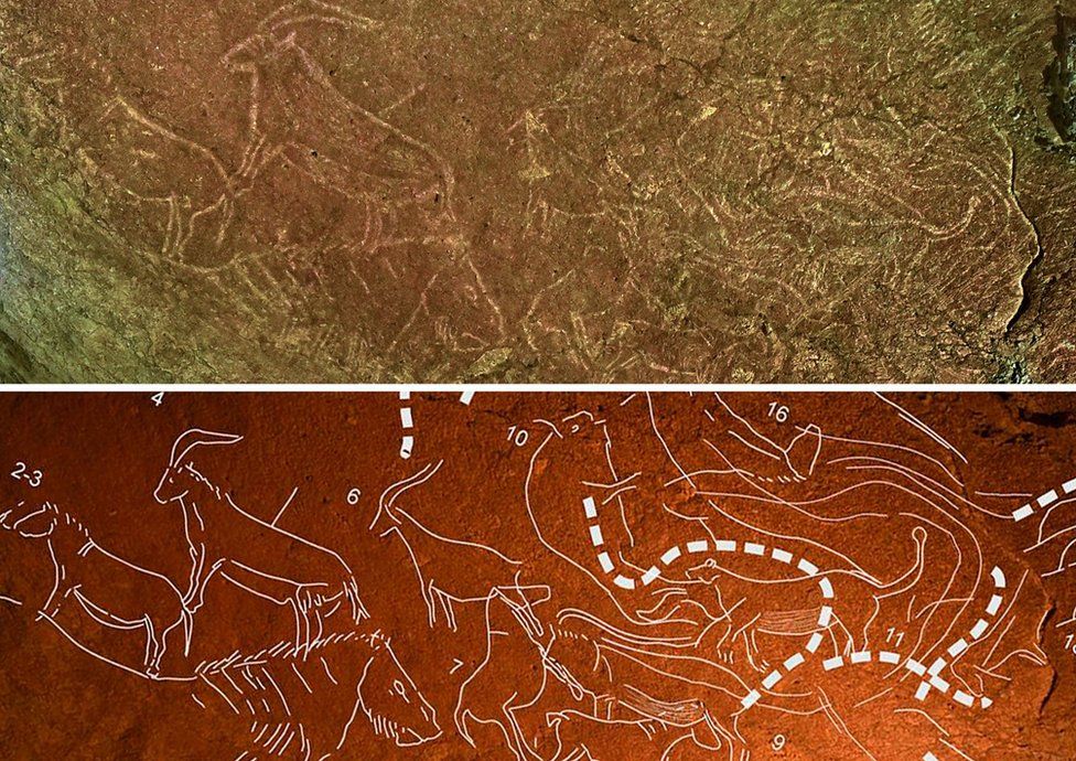 Cave art: Etchings hailed as 'Iberia's most spectacular' - BBC News
