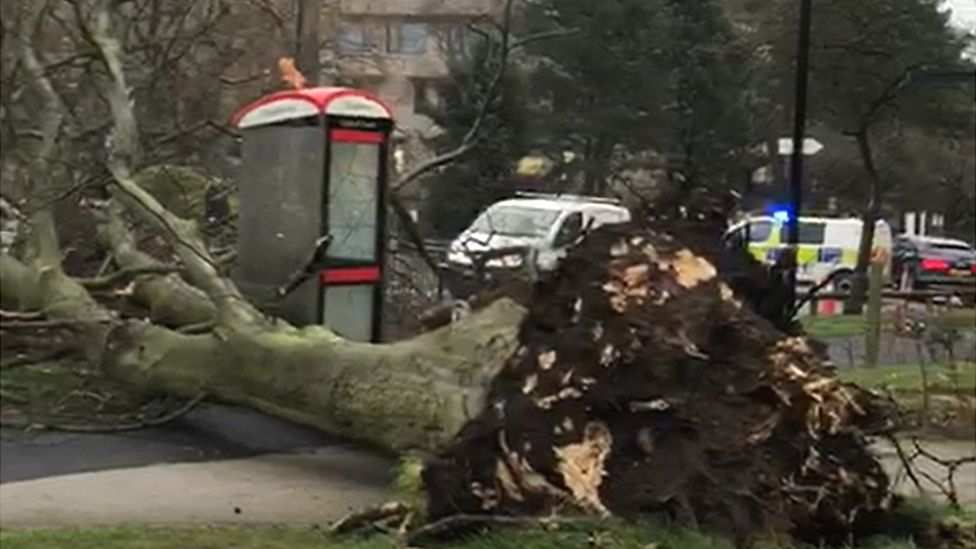 Storm Dudley: Tree falls on to car with three men inside and rail lines ...