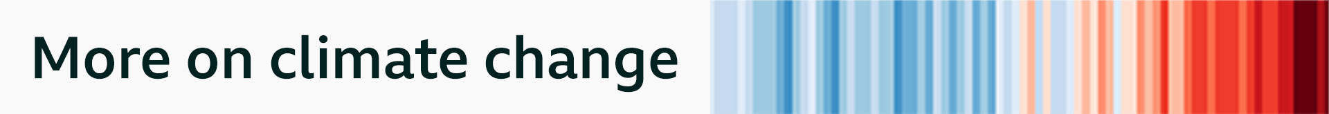 Climate change: What do all the terms mean? - BBC News