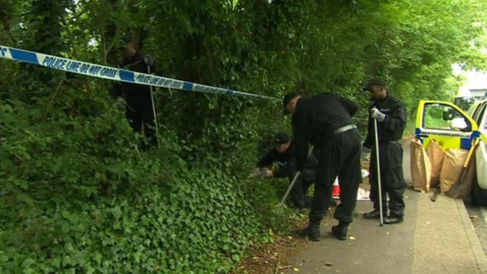 Attempted murder charge over Havant child stabbings - BBC News