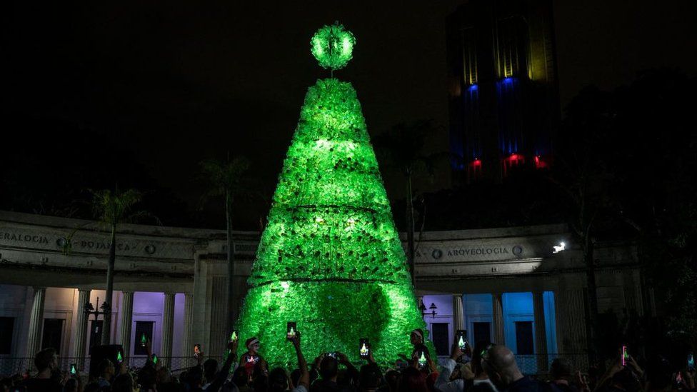 In pictures: Christmas trees from around the world - BBC Newsround
