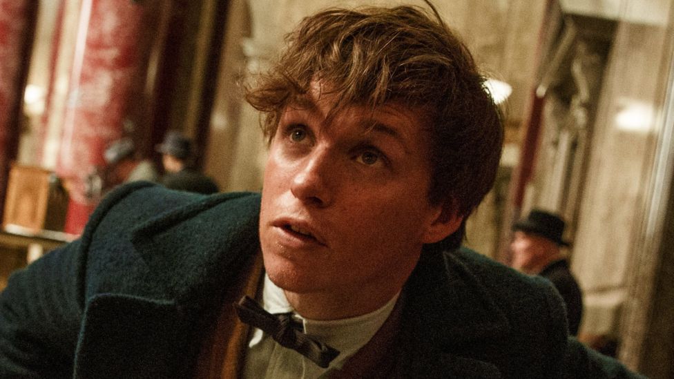Fantastic beasts and the science of identifying them - BBC News