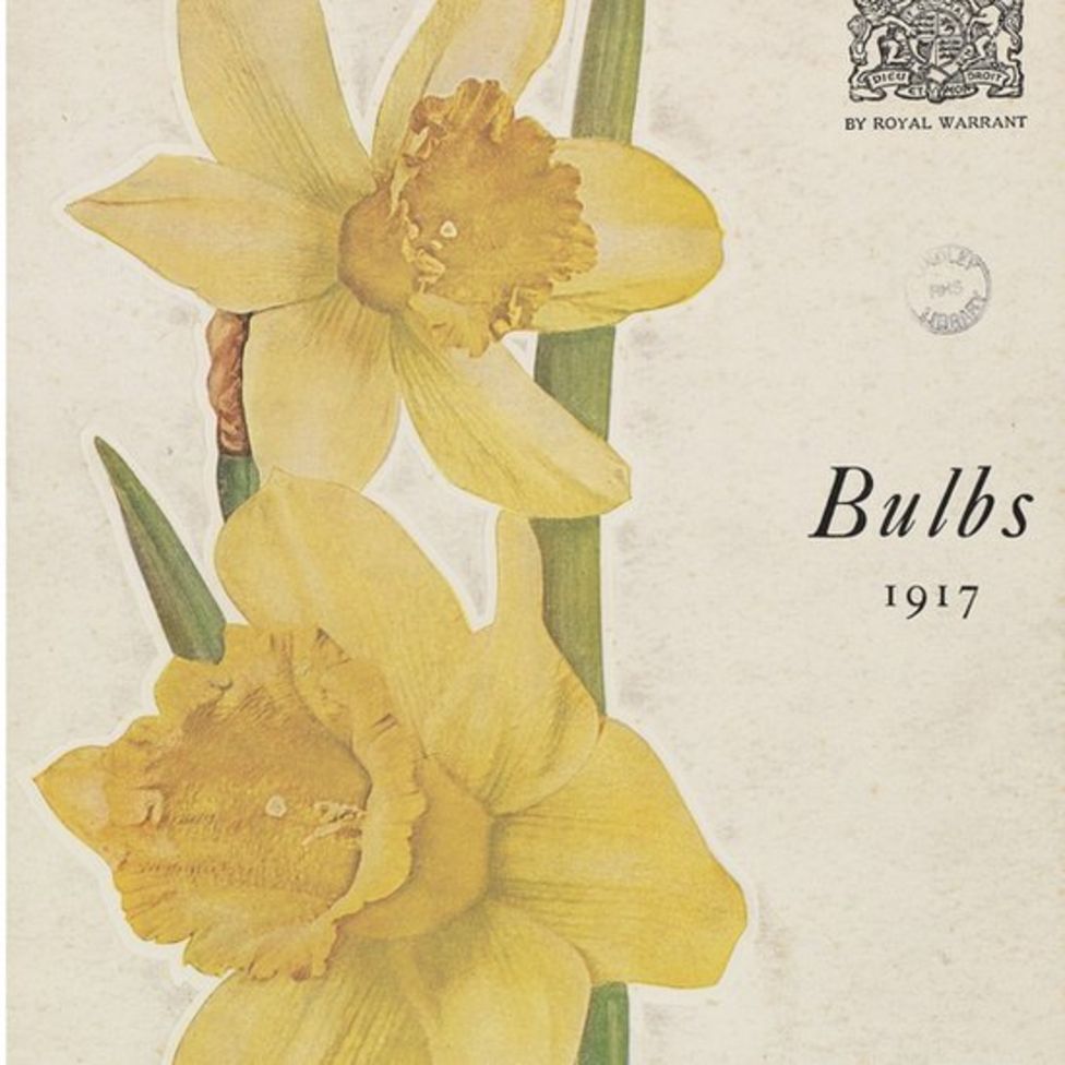 Nation's botanical treasures to go on display - BBC News