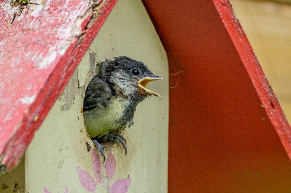 Your pictures on the theme of 'in a box' - BBC News