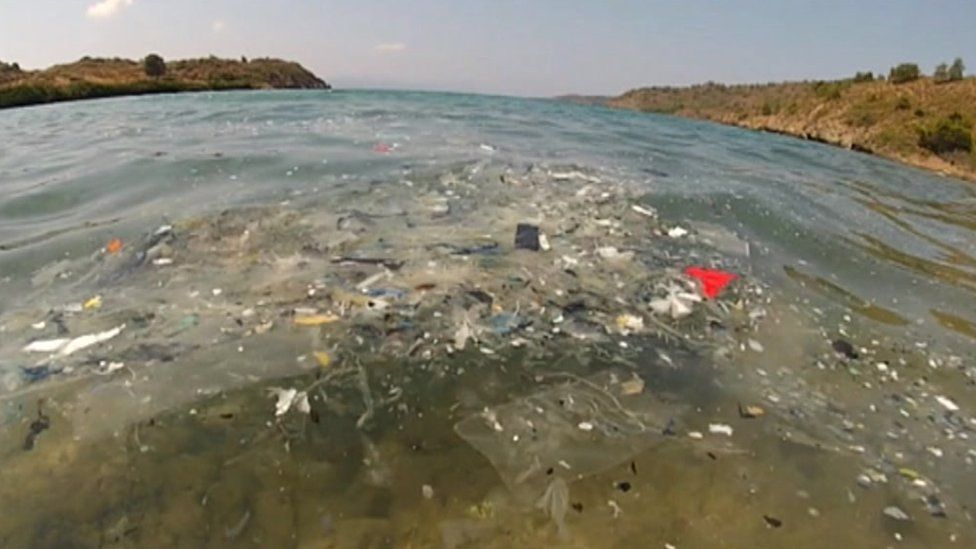 Mussels contaminated with plastic particles - BBC News