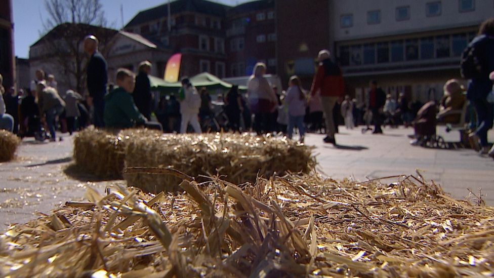 Hundreds flock to pop up farm in Coventry city centre - BBC News