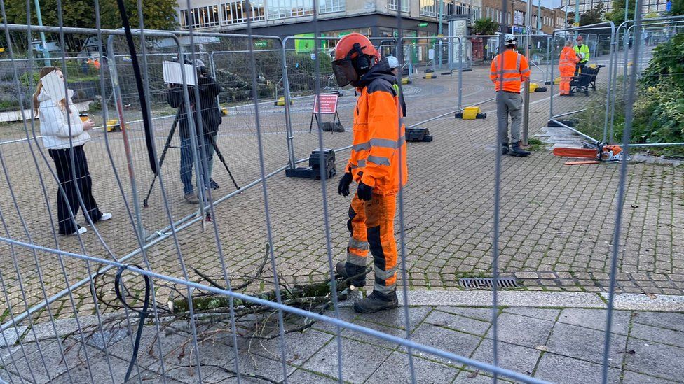 Plymouth trees: Work begins on clearing Armada Way - BBC News