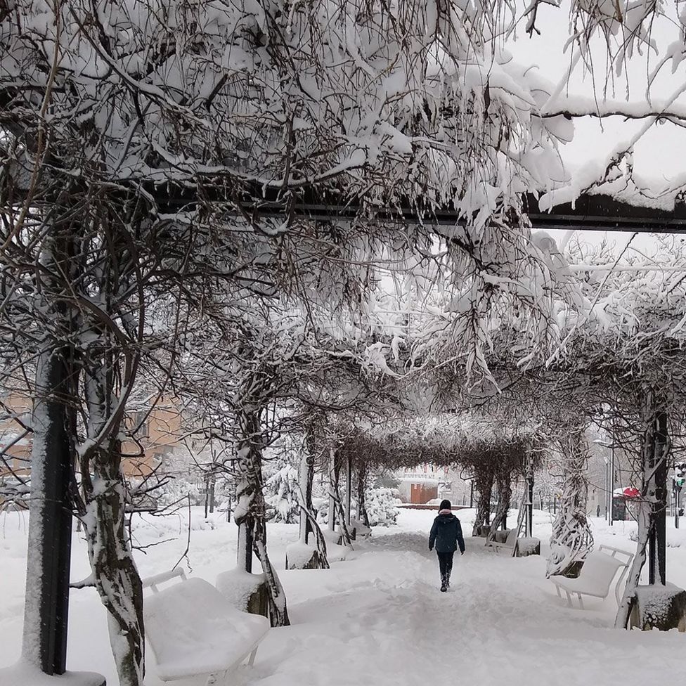 Your pictures on the theme of 'winter scenes' - BBC News