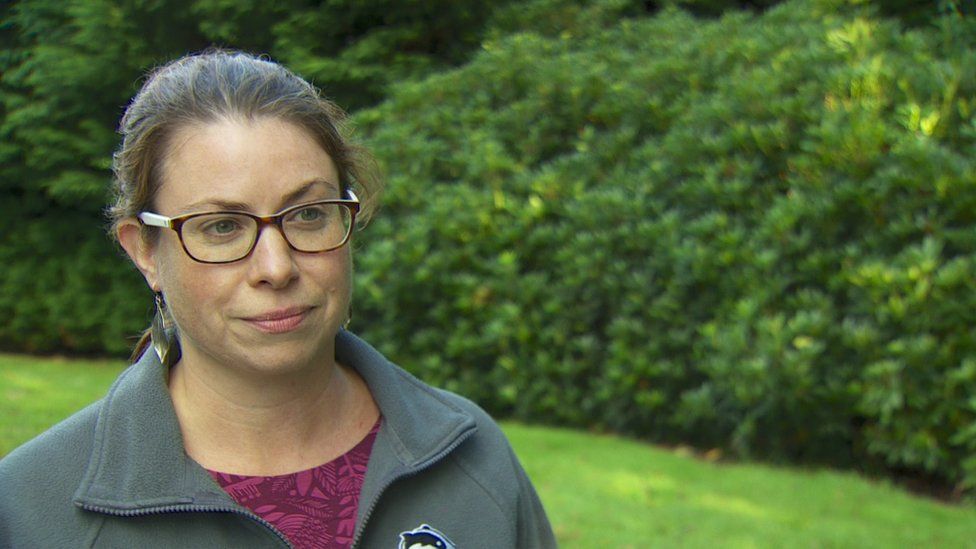 Irish Sea needs better protection, say conservationists - BBC News