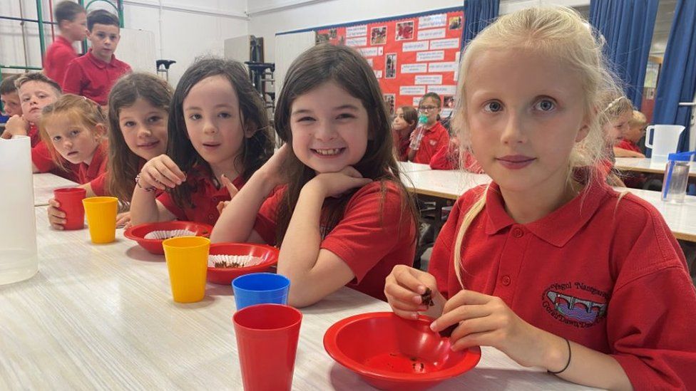 Ymestyn cynllun prydau bwyd ysgol yn ystod gwyliau - BBC Cymru Fyw