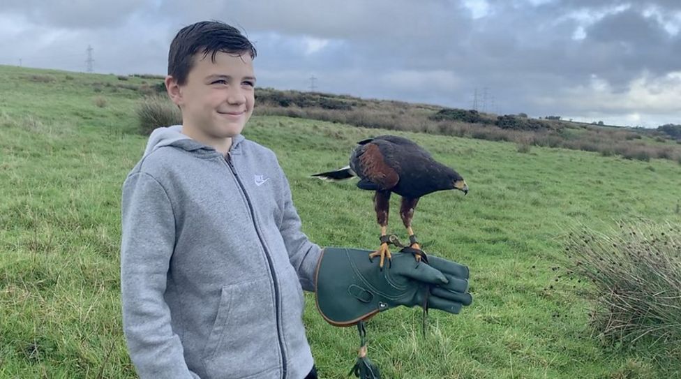 RSPB: Crime against birds of prey in Northern Ireland 'going undetected ...