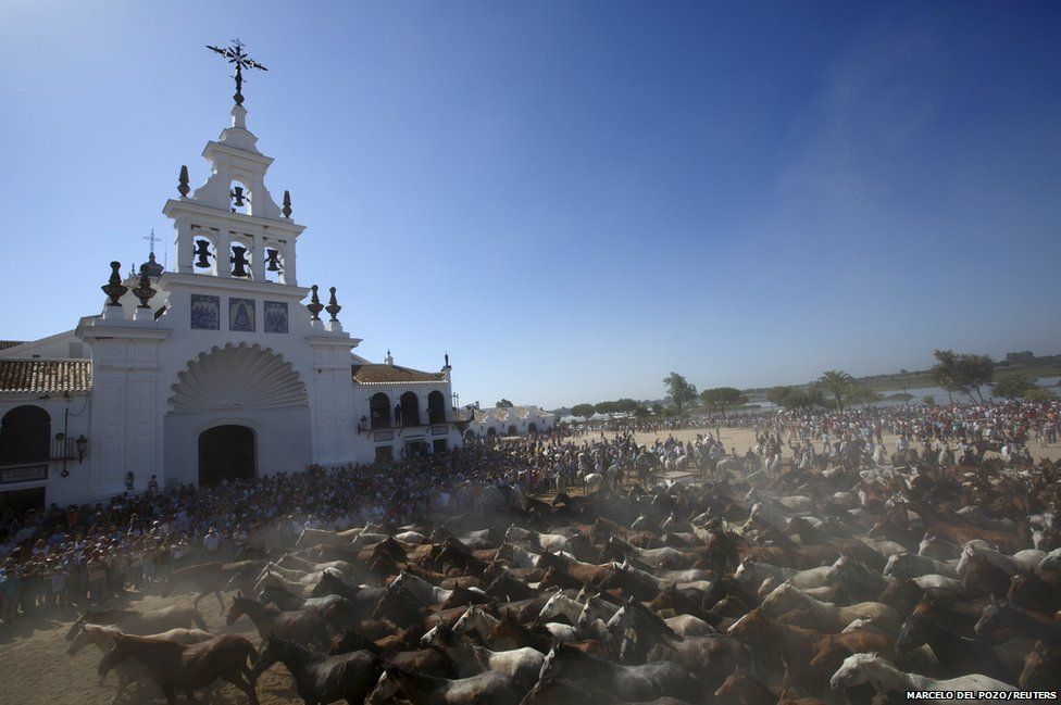Week in pictures: 20-26 June 2015 - BBC News