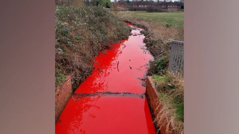 Investigation after Birmingham stream turns bright red - BBC News