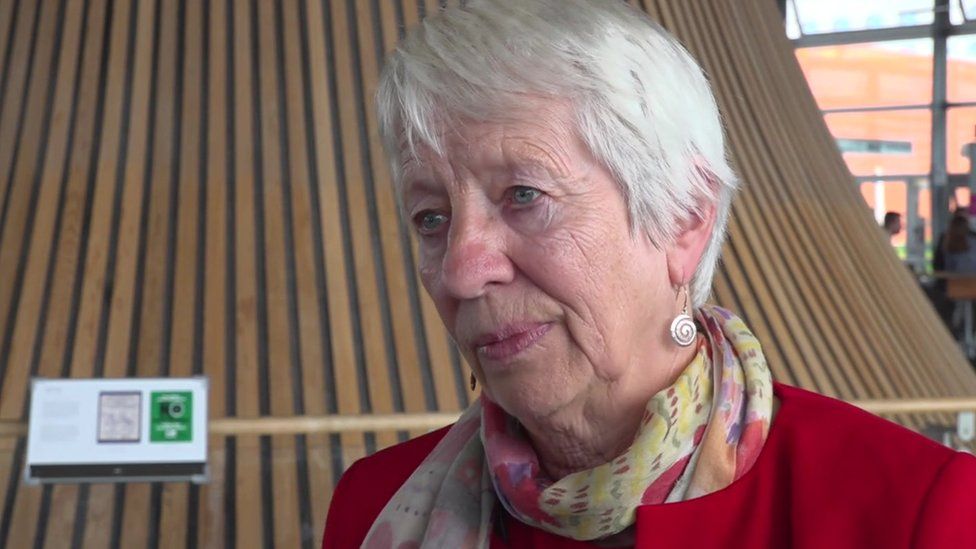 Fuel poverty: Wales' scheme a failure, says inquiry head - BBC News