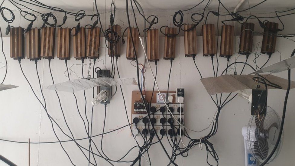 Cannabis factory found at disused Ladywood building - BBC News