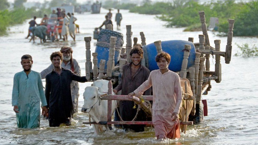 Telford mosques raise funds to support flood-hit Pakistan - BBC News