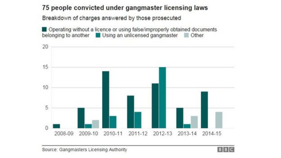 Gangmasters and migrant workers: What you need to know - BBC News