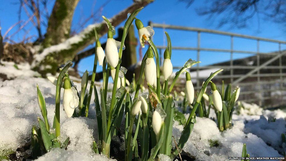 Winter wonderland as snow falls across the UK - BBC Weather