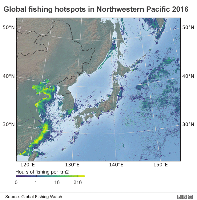 World's fishing fleets mapped from orbit - BBC News