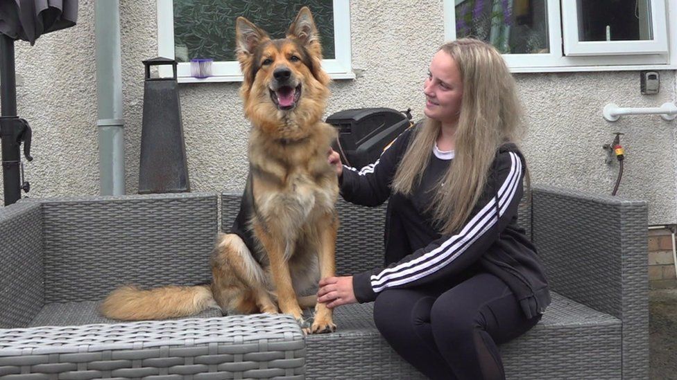 Ymateb llywodraeth i adroddiad gofal yn 'siomedig' - BBC Cymru Fyw