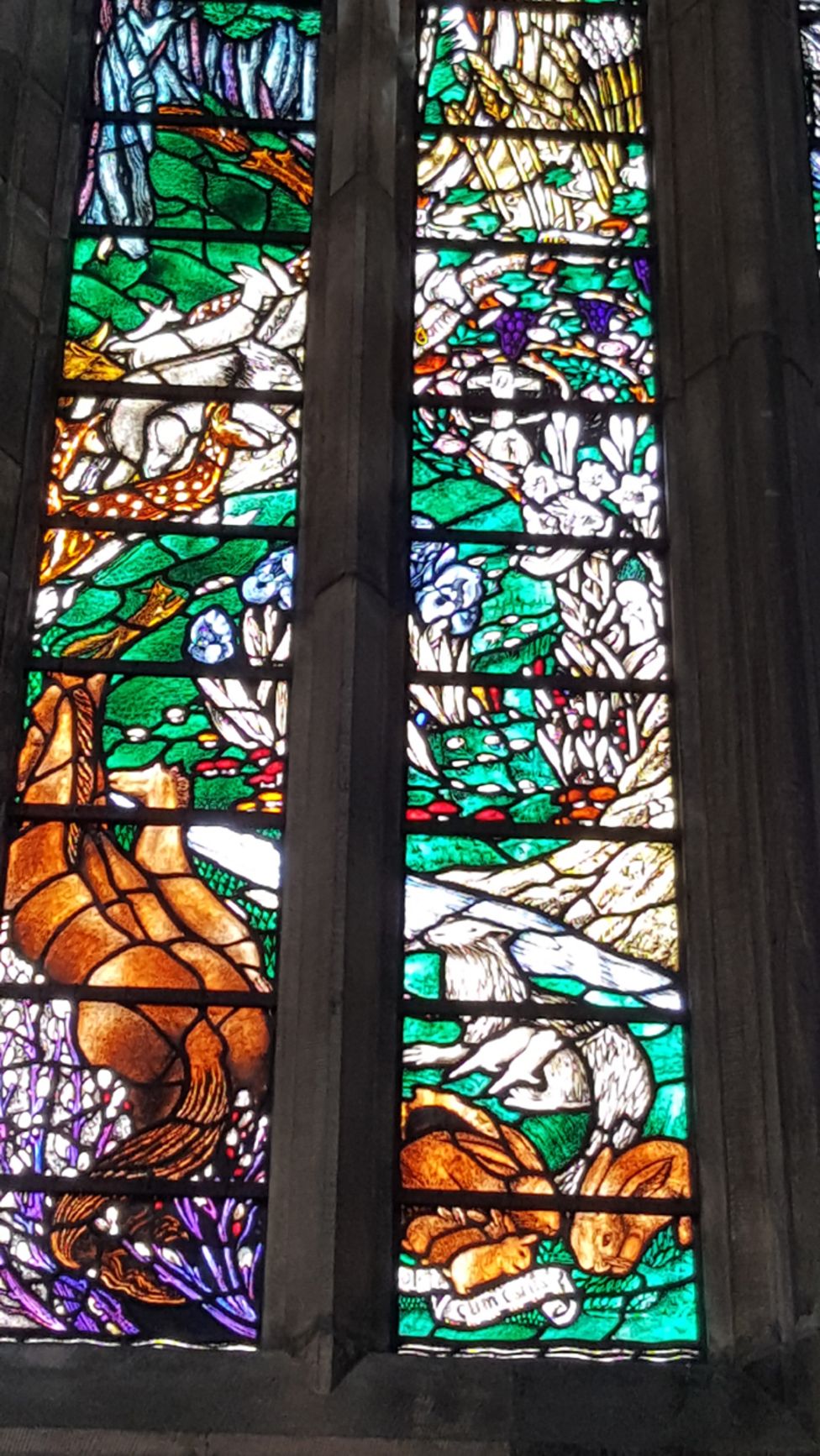 Your pictures of Scotland: 31 March - 7 April - BBC News