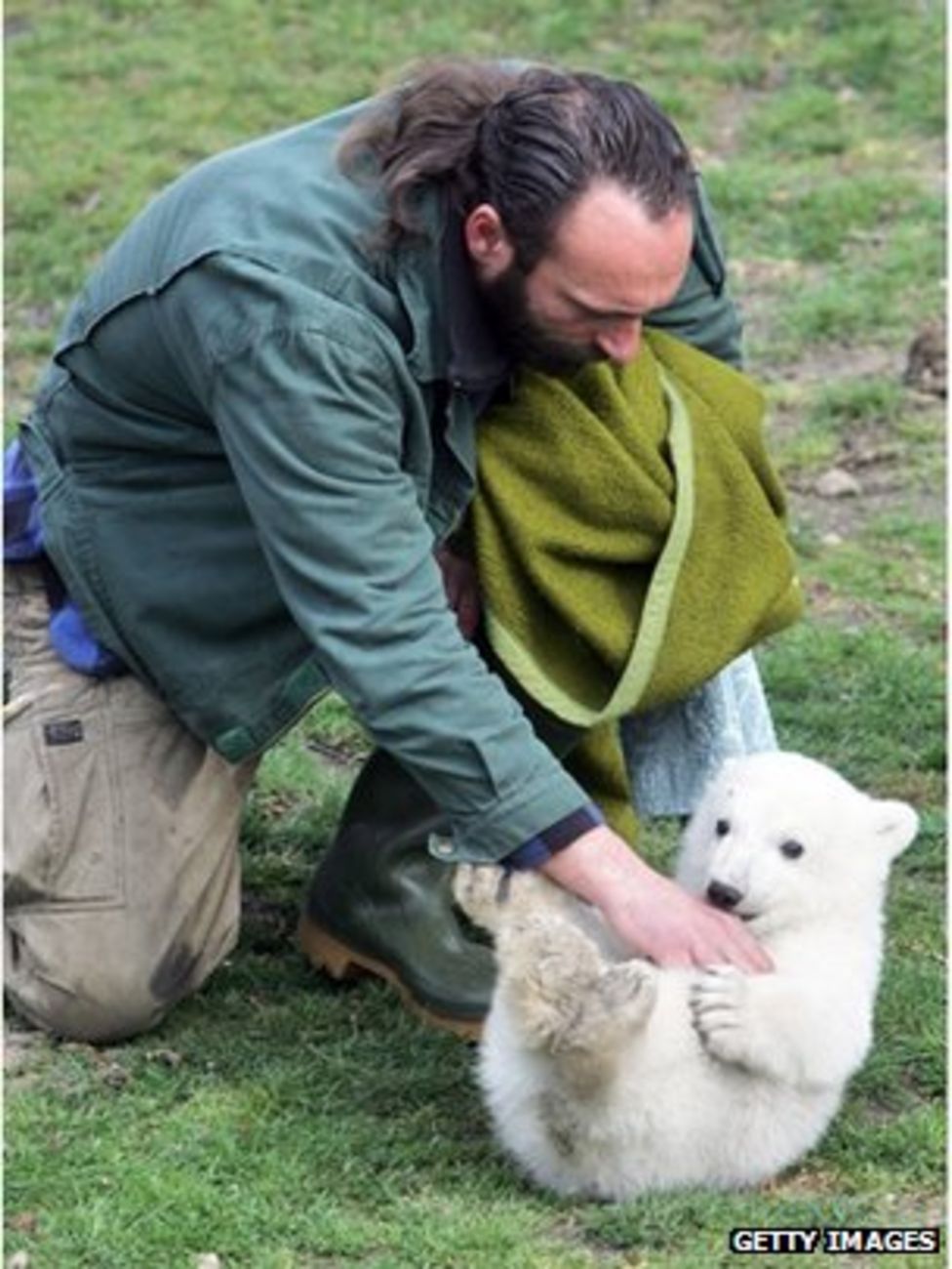 Knut polar bear death riddle solved - BBC News