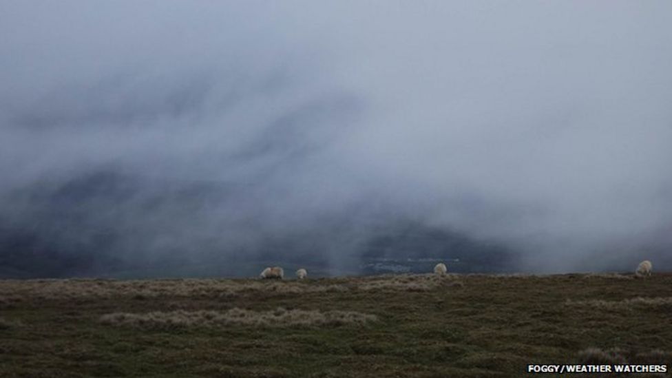 "I tried to catch the fog...but I mist!" - Fog 101 - BBC Weather