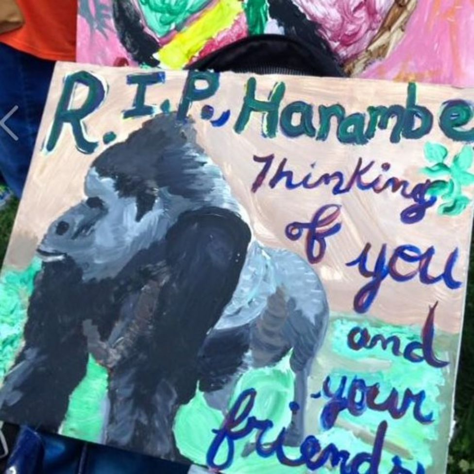 Justice for Harambe: Mother harassed online after gorilla shot dead ...