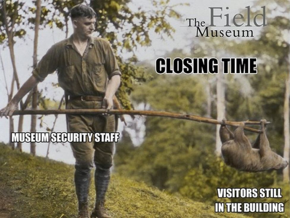 Museum Memes day is here - and the results are immense - BBC Newsround