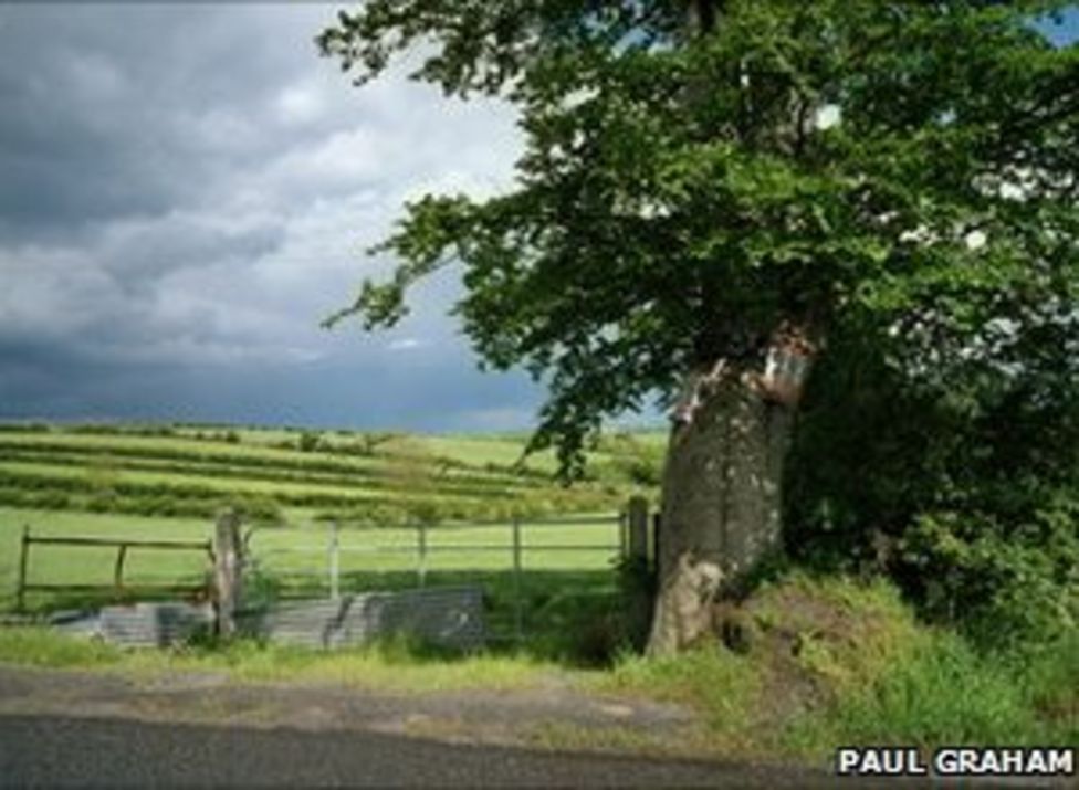 Paul Graham: Photographs 1981-2006 - BBC News