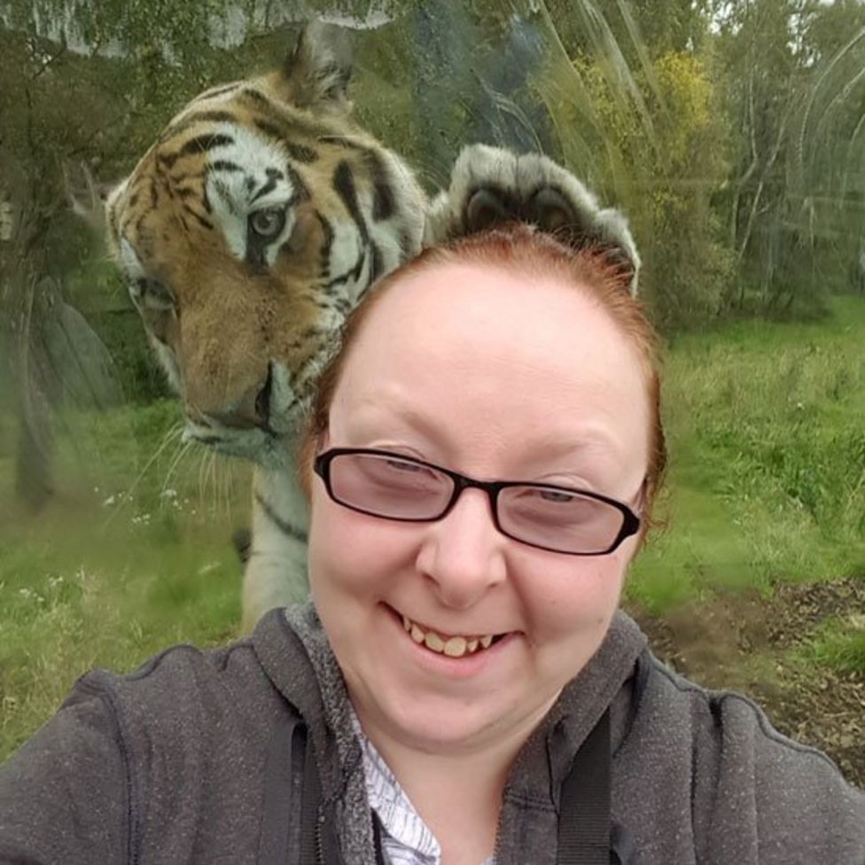 Wildlife park visitor snaps perfectly-timed tiger selfie - BBC News