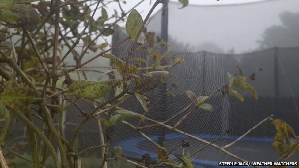 The webs are out! - BBC Weather