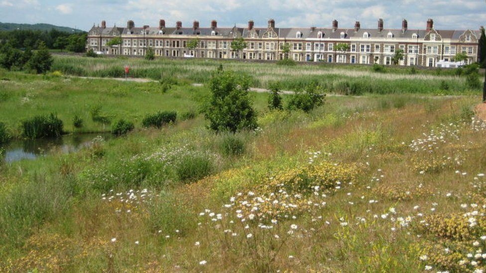 Green Flags awarded to 180 Welsh parks and green spaces - BBC News