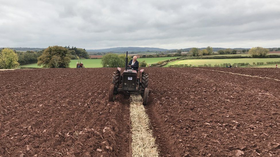 Ploughing championships return to Somerset - BBC News