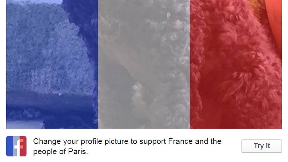Paris attacks: French woman's Facebook flag post goes viral - BBC News