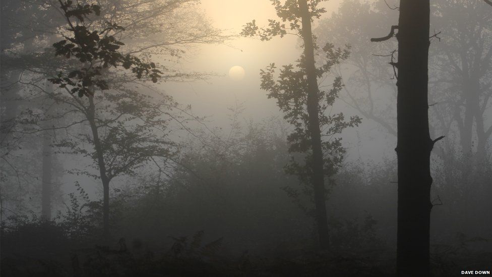 Your pictures of autumn fog - BBC Weather