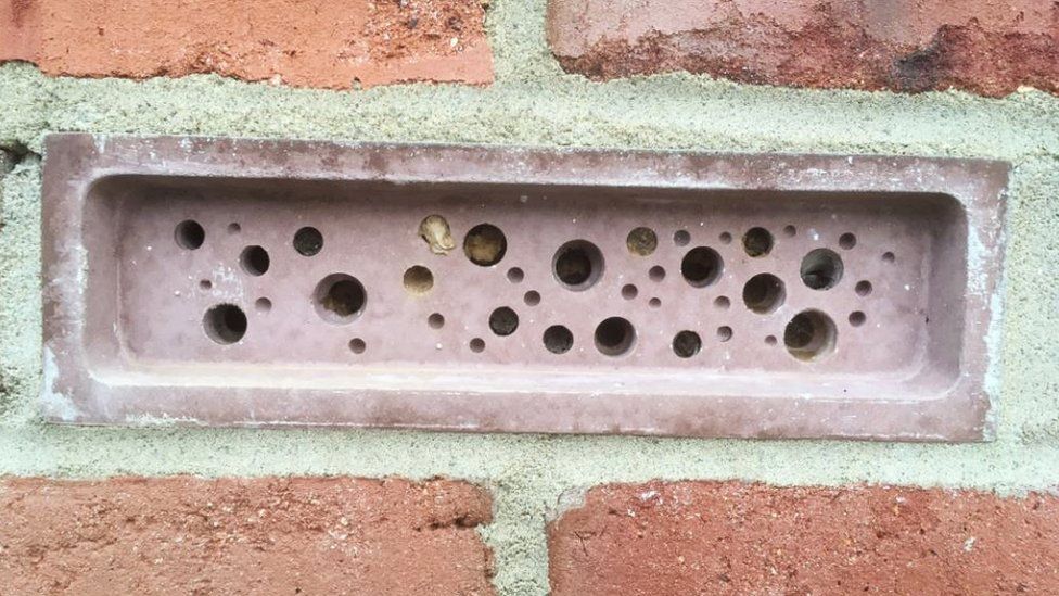 What is a bee brick? How can it help? - BBC Newsround