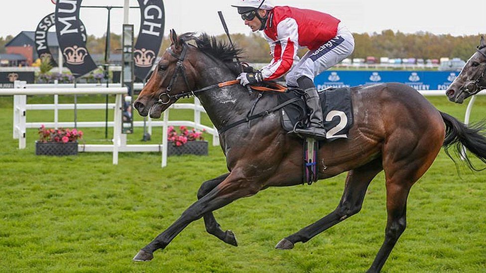 Carrutherstown racing stable 'very relieved' to return to action - BBC News